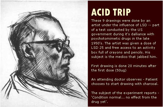 Acid Trip Stage 1 - Botcrawl